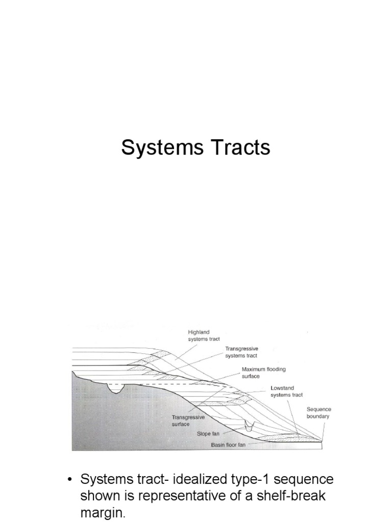 An In-Depth Look at Systems Tracts and Their Characteristics in ...
