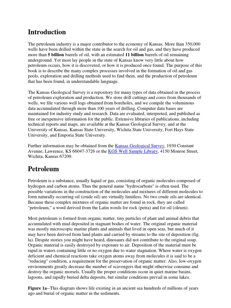 Introduction To Petroleum & Exploration | PDF | Sedimentary Rock ...
