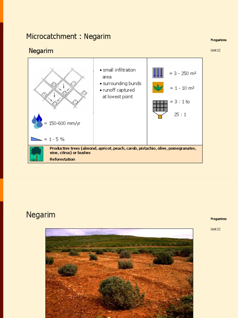 Microcatchment : Negarim | Landscape Architecture | Soil