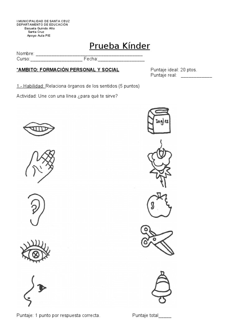 Prueba Kinder