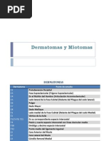 Motoneuronas Alfa y Gamma | PDF | Neurona motora | Músculo