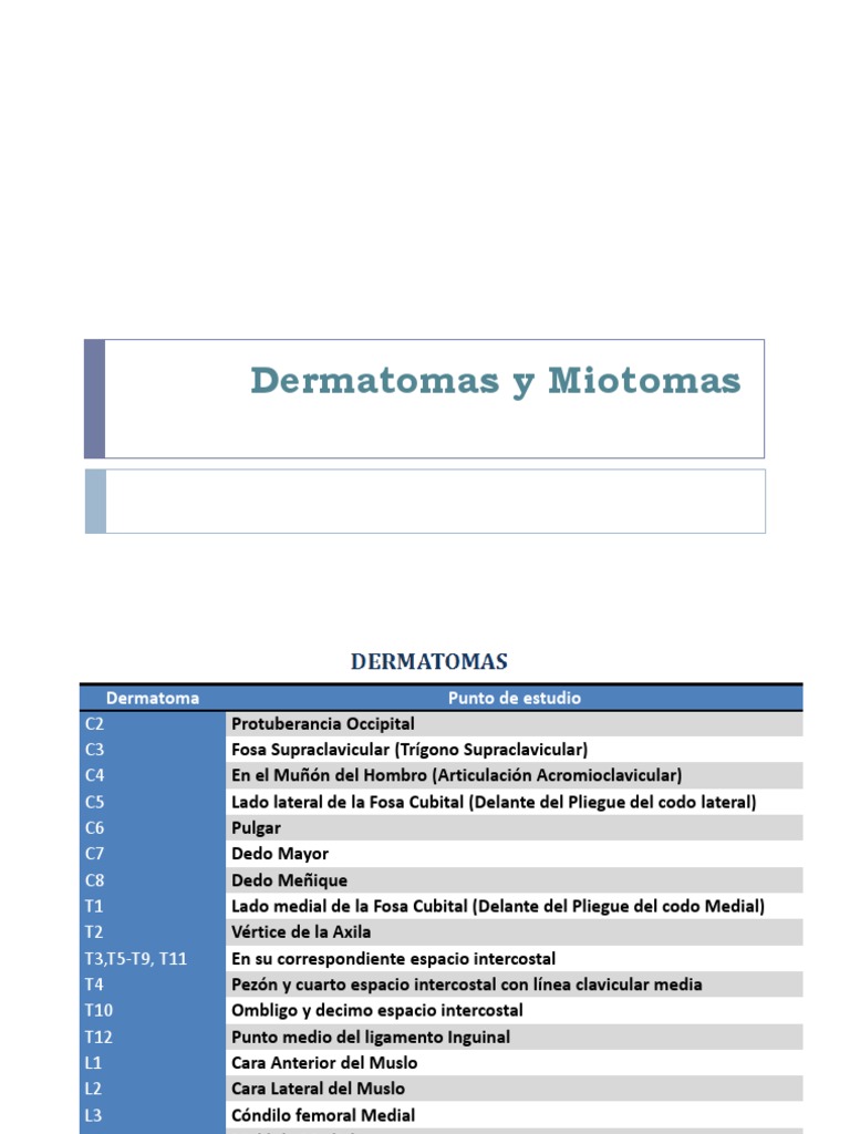 Tabla De Miotomas Y Dermatomas
