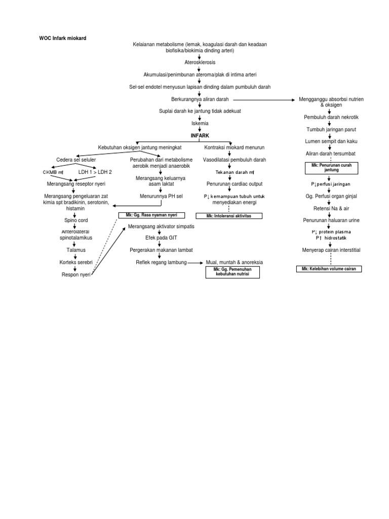 Pathway Infark Miokard Akut | PDF