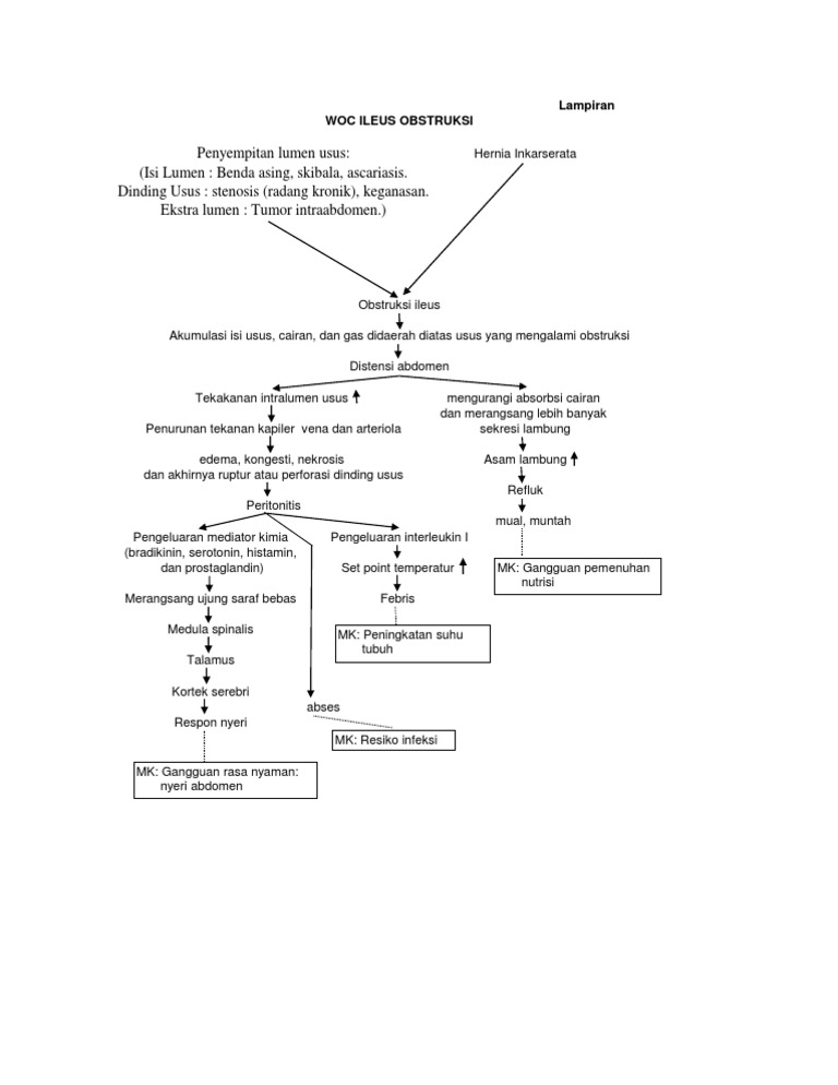 Woc Ileus Obstruksi Acc | PDF