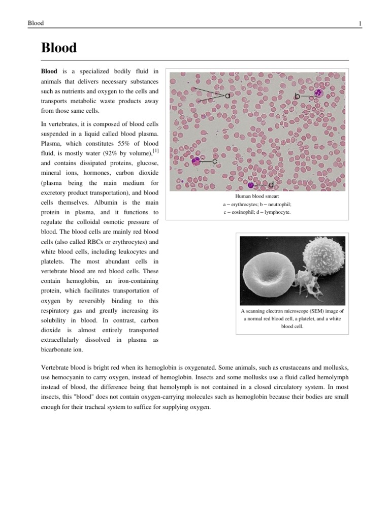 Blood@Wikipedia Org en | PDF | Hemoglobin | Blood