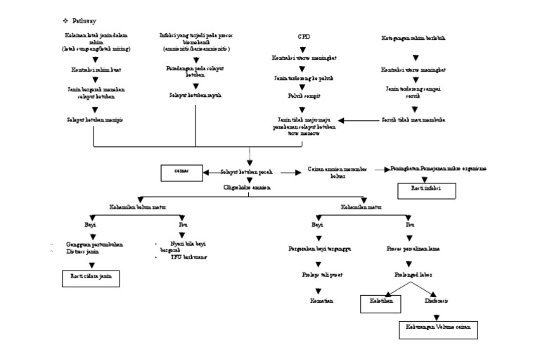 Pathway Persalinan | PDF