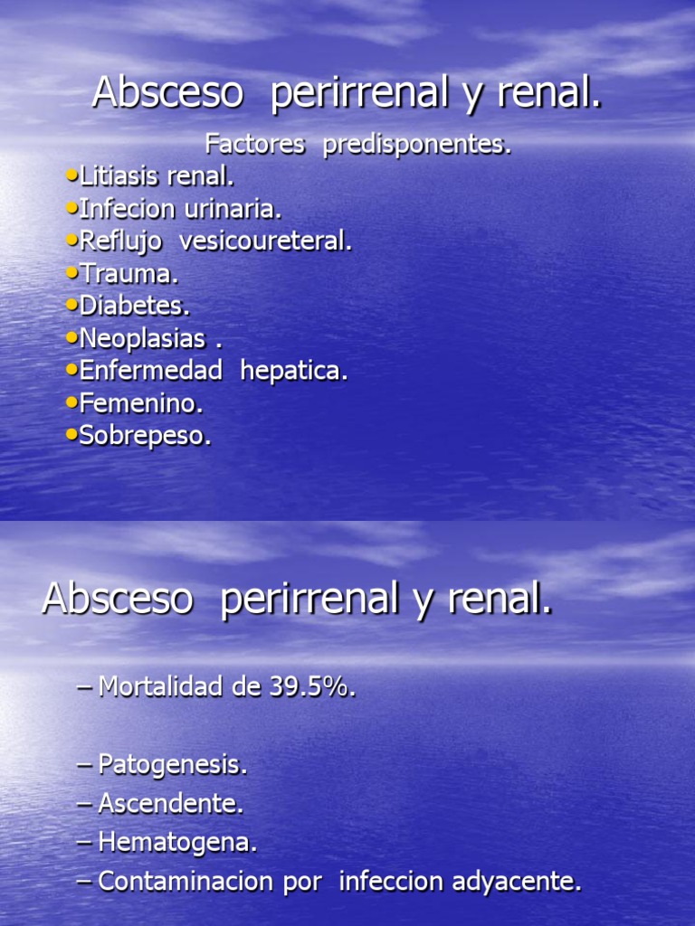 Absceso Perirrenal y Renal