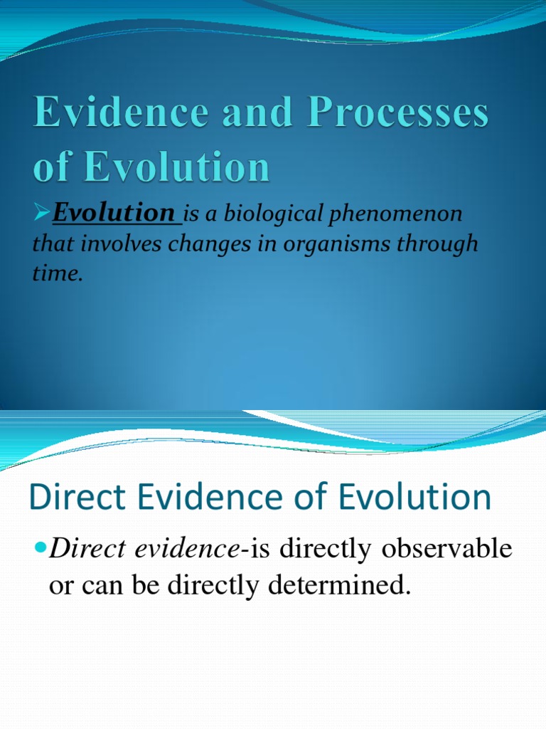 Evidence and Processes of Evolution | PDF | Evolution | Mutation