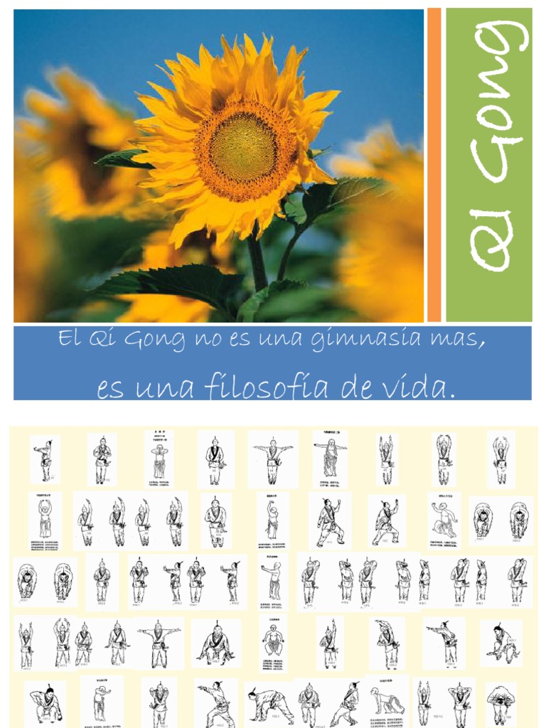 Presentation Yi JIn JIng | PDF | Qigong | Monasterio Shaolin