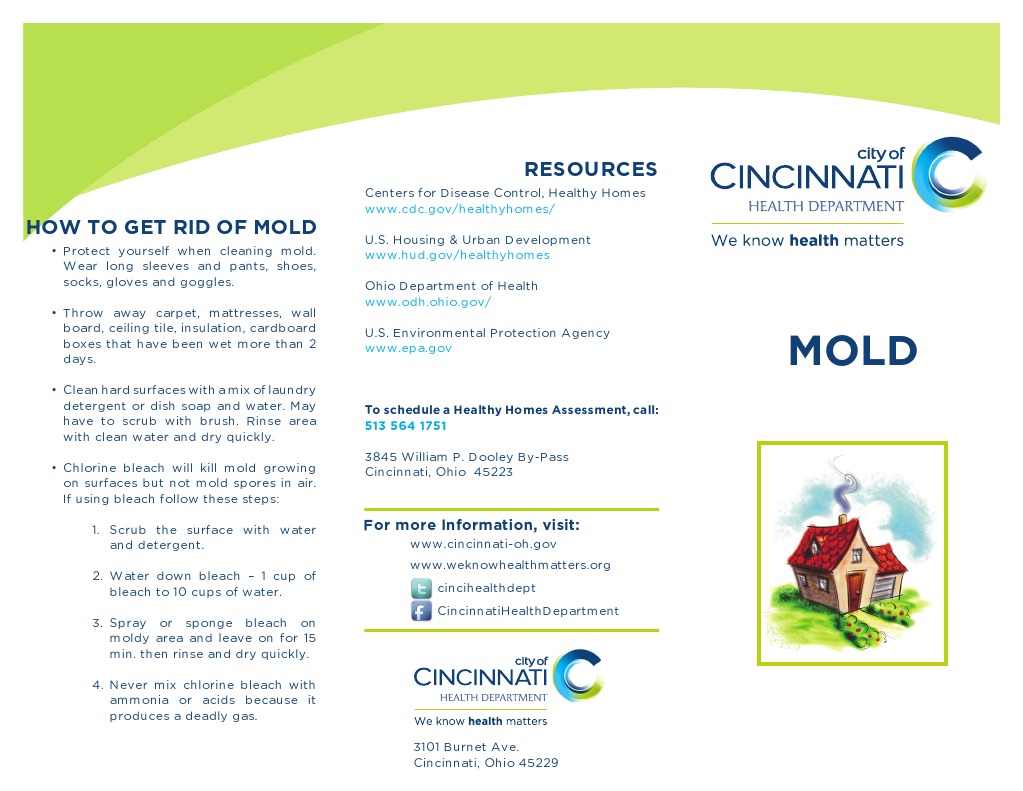 Mold Final | PDF | Mold | Allergy