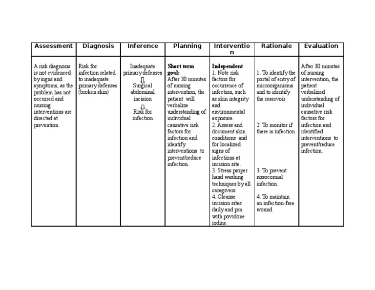 Nursing Care Plan: Infection Risk Management | PDF | Infection ...