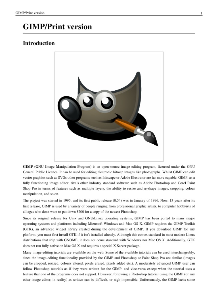 Gimp User Guide | PDF