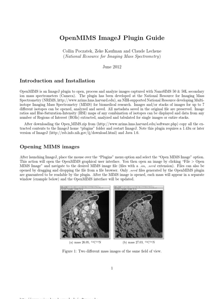 Openmims Imagej Plugin Guide: Introduction and Installation | PDF | Image Segmentation | Support ...