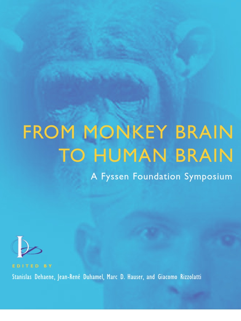 From Monkey Brain to Human Brain | Visual Cortex | Cerebral Cortex