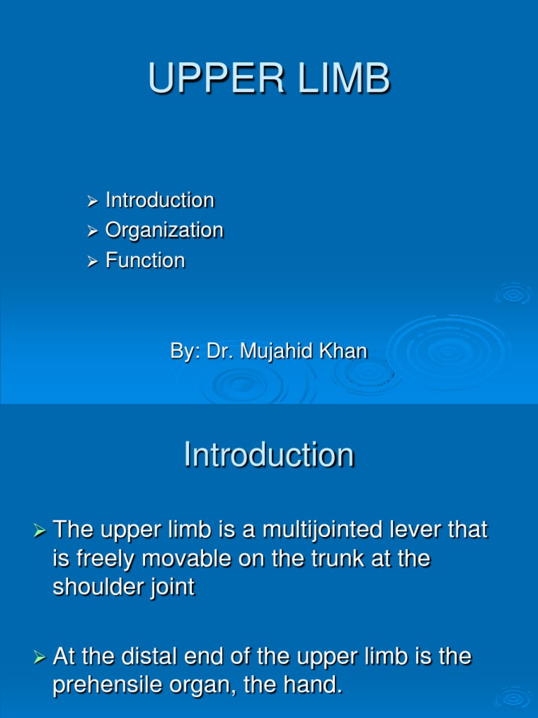 Upper Limb: Organization Function | PDF | Breast | Hand