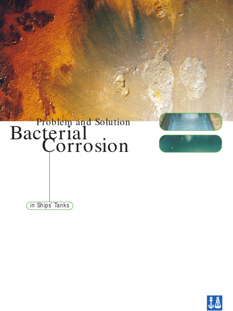Bacterial Corrosion B | Corrosion | Microorganism