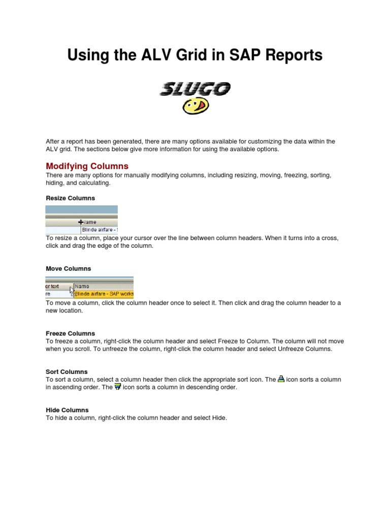 ALV Grid in SAP Reports | PDF