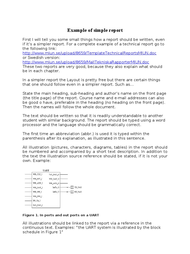 Example of A Simple Report | PDF | Physics | Teaching Mathematics