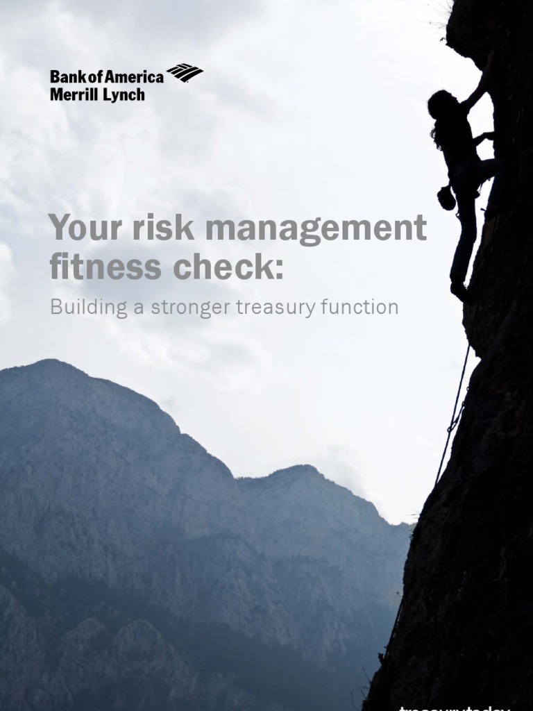 Your Risk Management | PDF | Investment Banking | Bank Of America