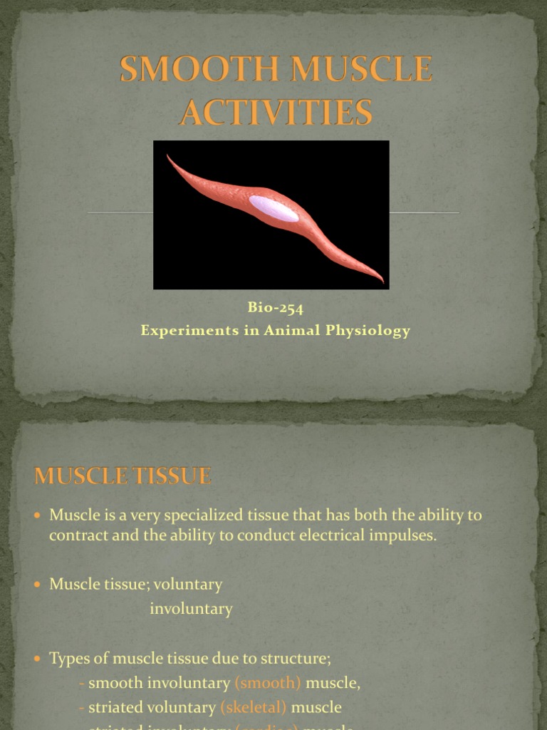 Smooth Muscle Experiment | PDF | Smooth Muscle Tissue | Acetylcholine