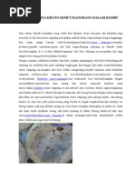 Contoh Format Berita Acara Penyelesaian Pekerjaan (Bapp) | PDF