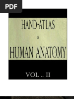 Latin Body Parts Glossary | PDF | Human Anatomy | Primate Anatomy