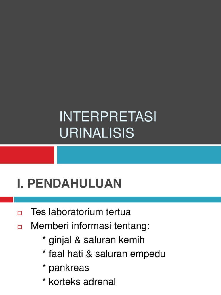 Interpretasi Urinalisis | PDF