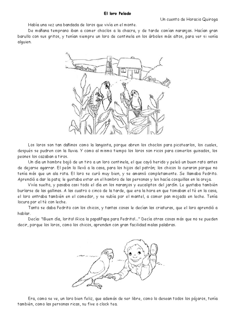 CUENTO El Loro Pelado+ Actividades | Verbo