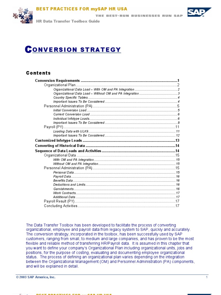 03 Conversion Strategy | Download Free PDF | Payroll | Microsoft Excel