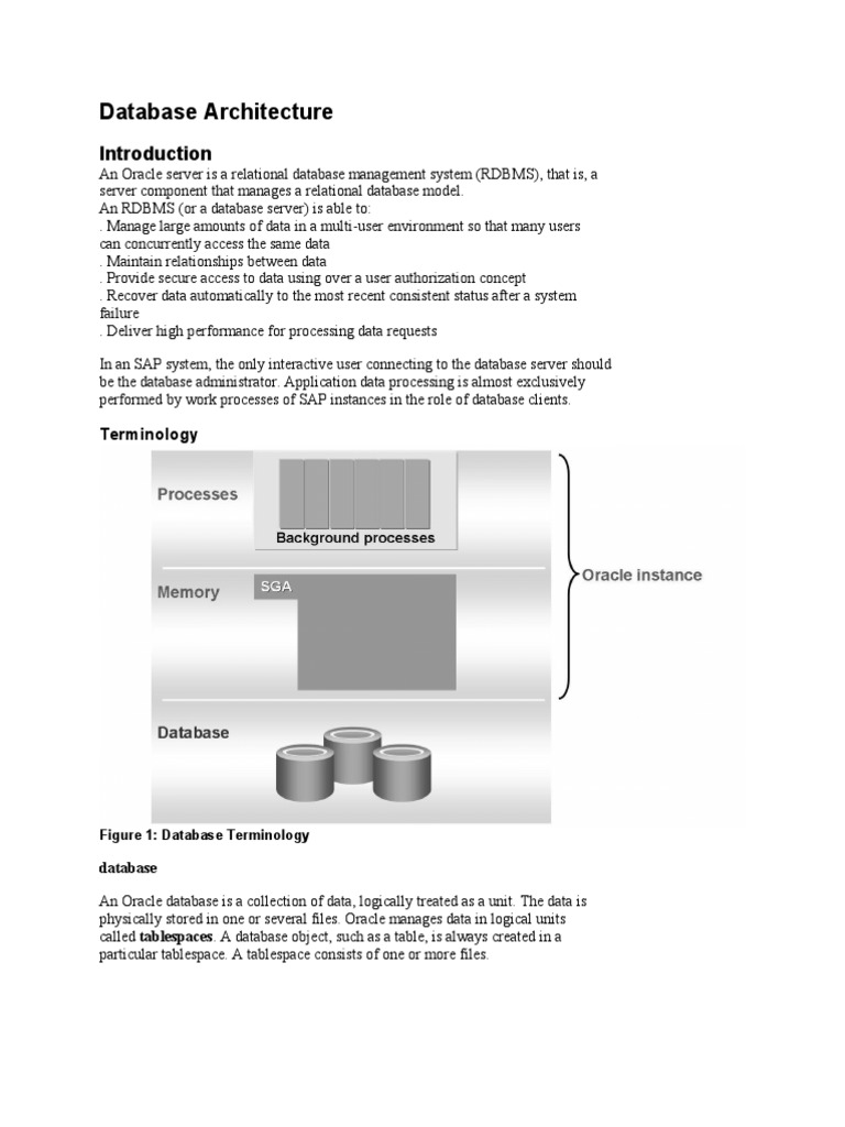 Database Architecture | Download Free PDF | Oracle Database | Cache (Computing)