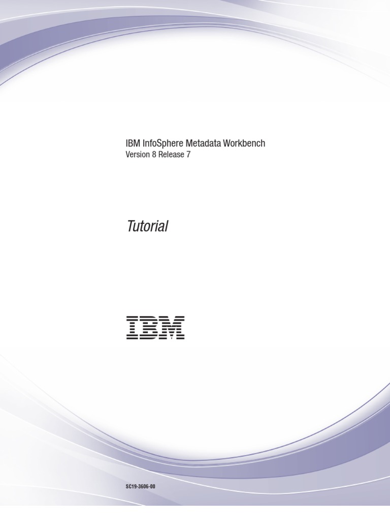 IBM Infosphere Metadata Workbench v8 7 Tutorial | PDF | Metadata ...