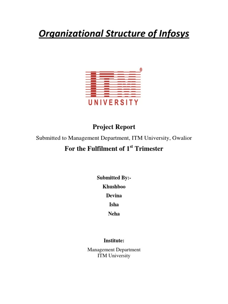 Organizational Structure of Infosys | PDF | Revenue | Corporations