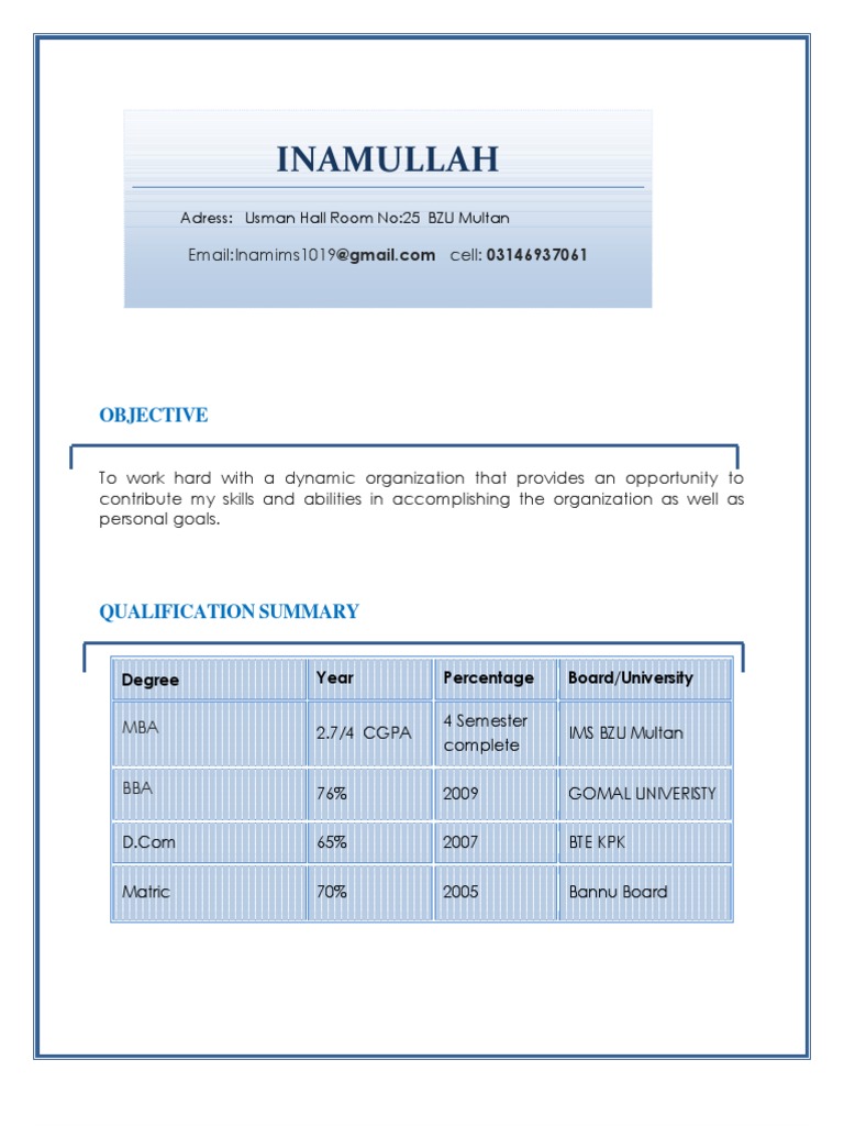 Inam CV | PDF | Career & Growth