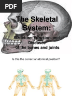 Chapter 7 Lab Assignment - Axial Skeleton Labeling | PDF | Vertebra | Skull