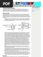 Tardieu Scale | PDF | Anatomical Terms Of Motion | Muscle