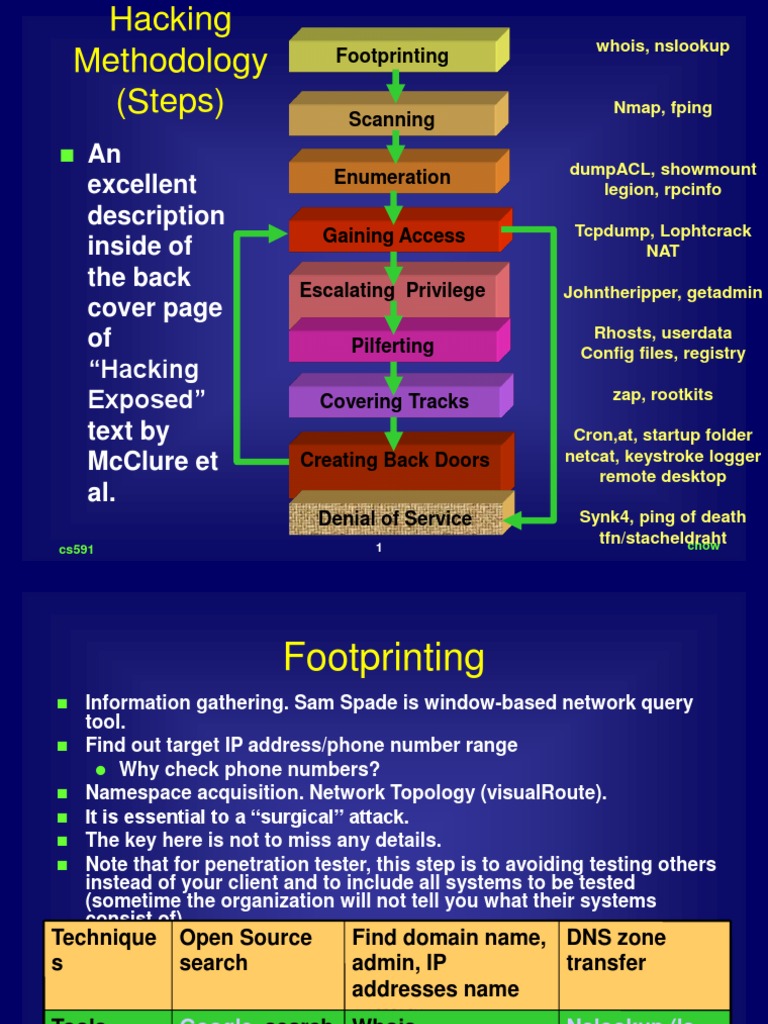 Hacking Step | PDF | Denial Of Service Attack | Domain Name System