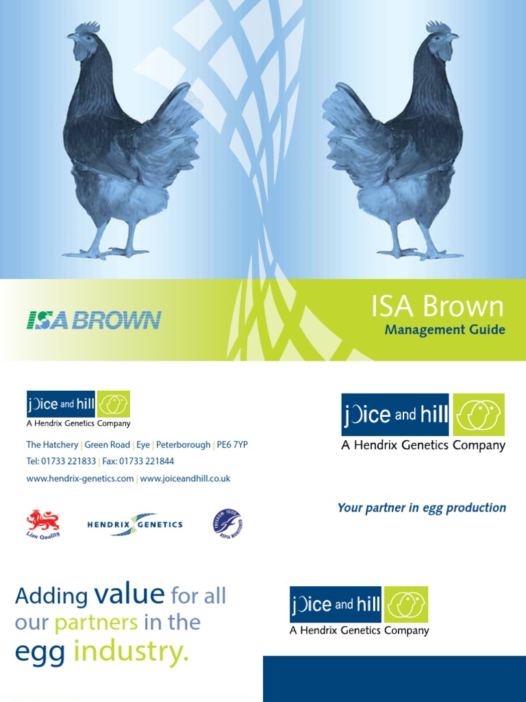 ISA Brown Management Guide | PDF | Methionine | Magnesium