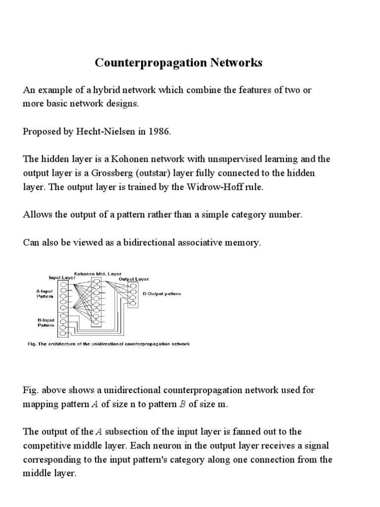 Counterpropagation Networks | PDF | Computational Neuroscience | Areas Of Computer Science