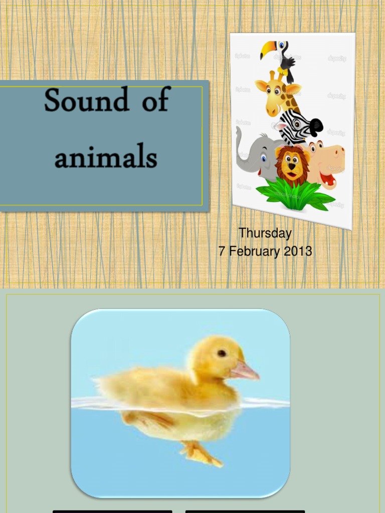 Sound of Animals | PDF | Language Arts & Discipline | Home & Garden