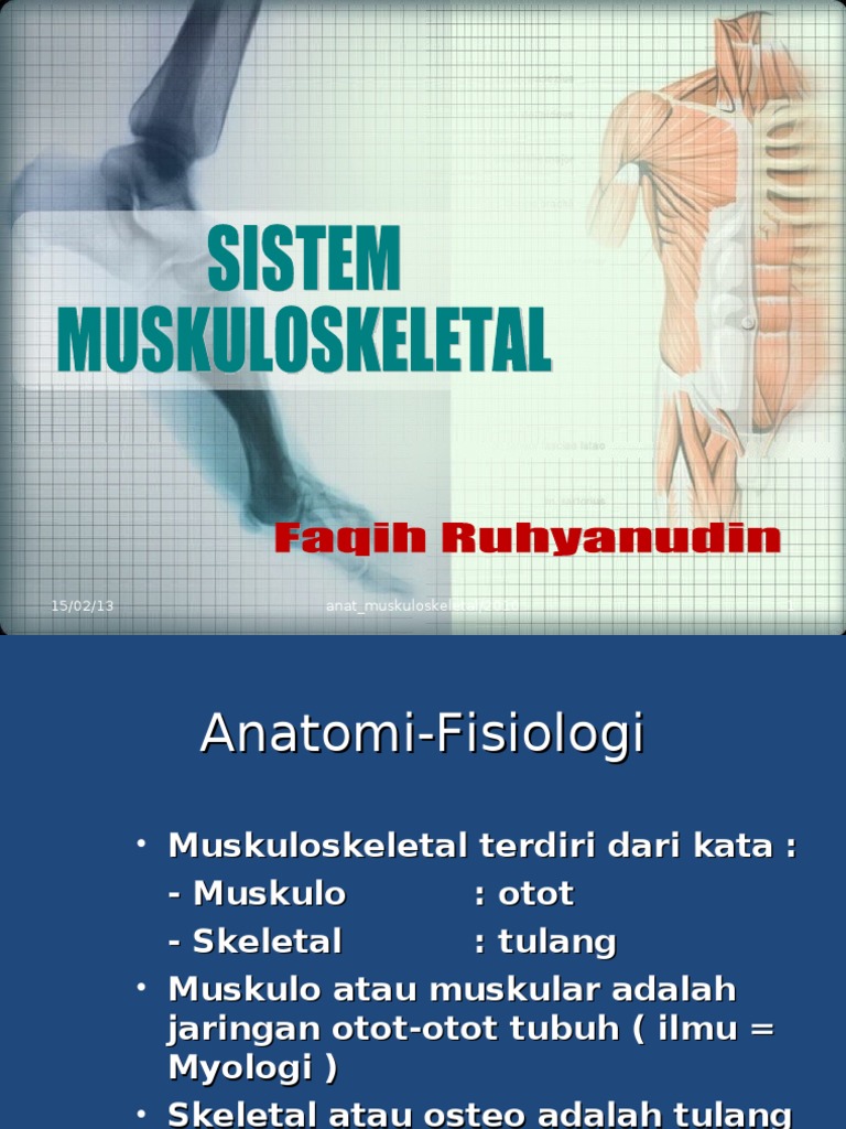 Anatomi Fisiologi Muskuloskeletal | PDF