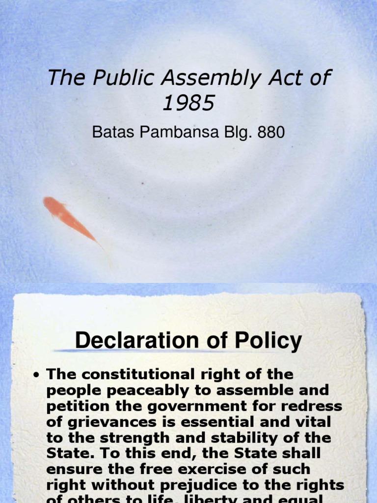 Public Assembly Act | PDF | Demonstration (Protest) | Police