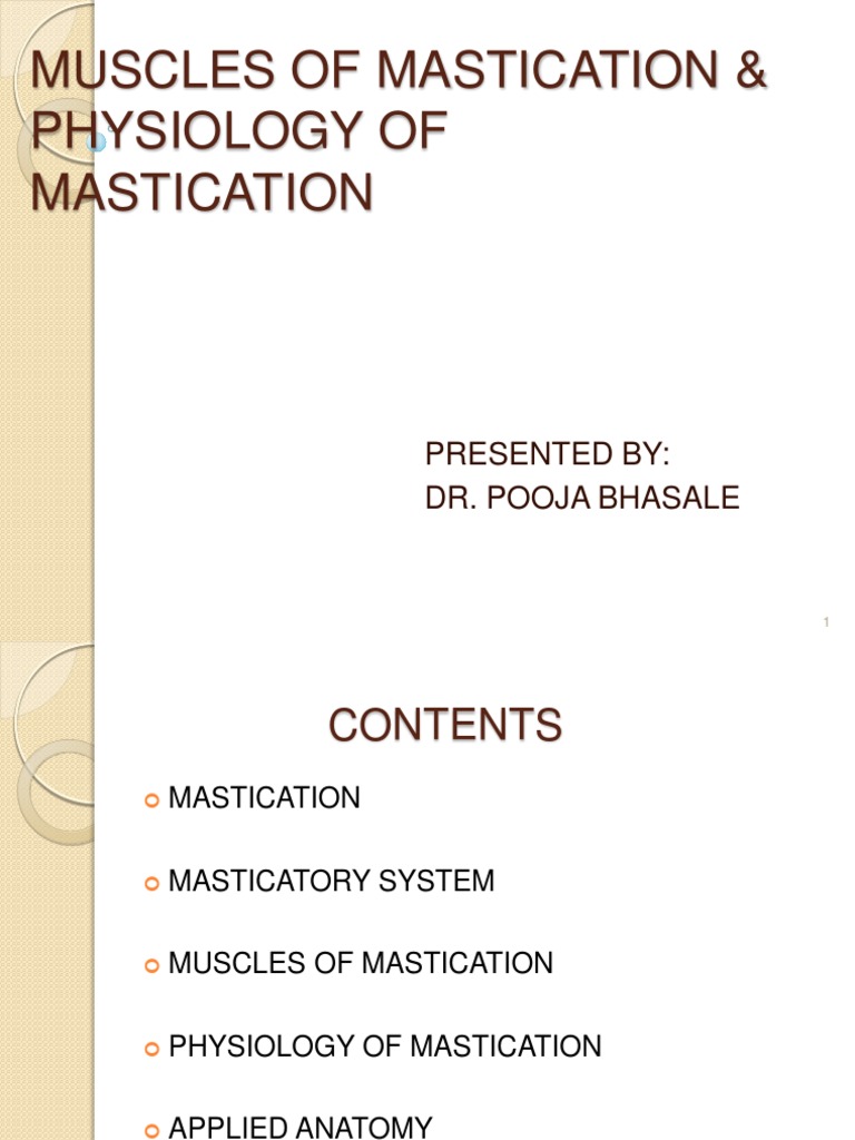 Muscles of Mastication | PDF | Animal Anatomy | Human Anatomy