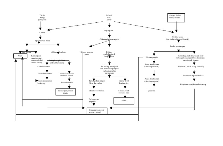 Pathway Infeksi Mata | PDF