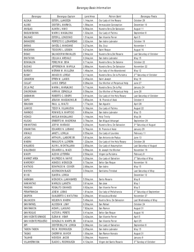 Barangay Basic Information Report: A Comprehensive Listing of Barangays ...