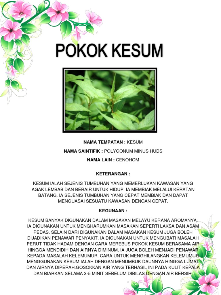 Pokok Herba | PDF