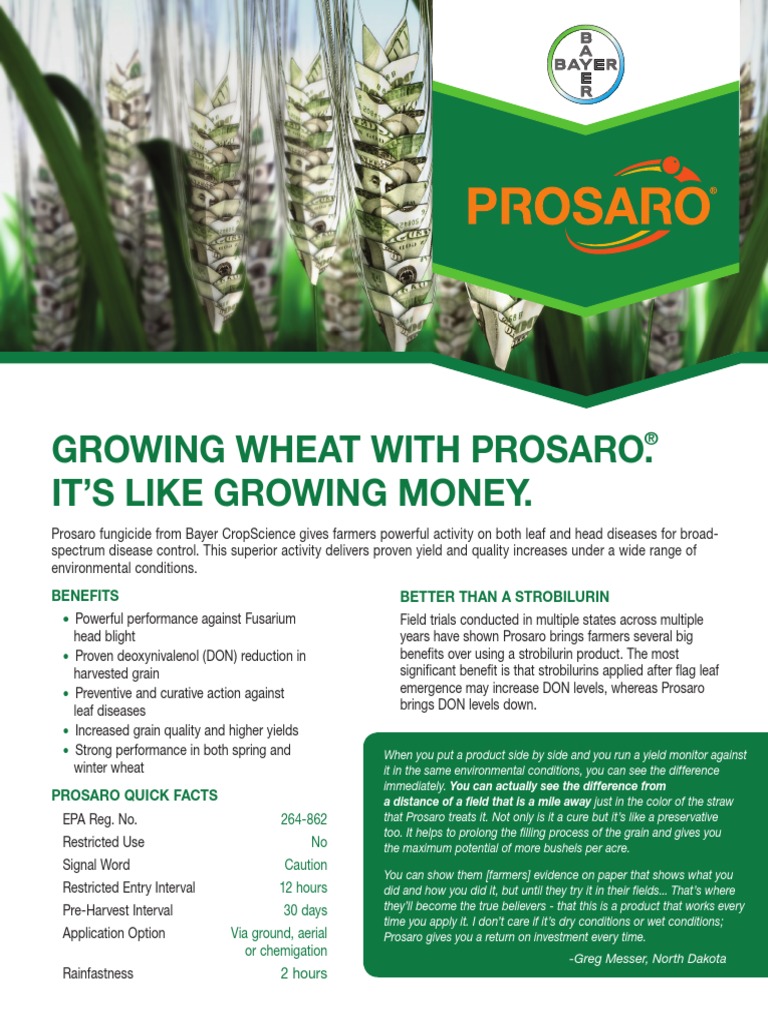 Prosaro Fungicide: Boost Wheat Yields | PDF | Wheat | Branches Of Botany