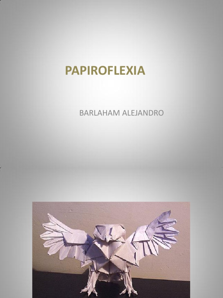 La magia del origami: Introducción a la papiroflexia a través del libro ...