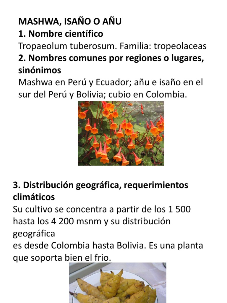 MASHWA | PDF | Plantas | Horticultura y jardinería