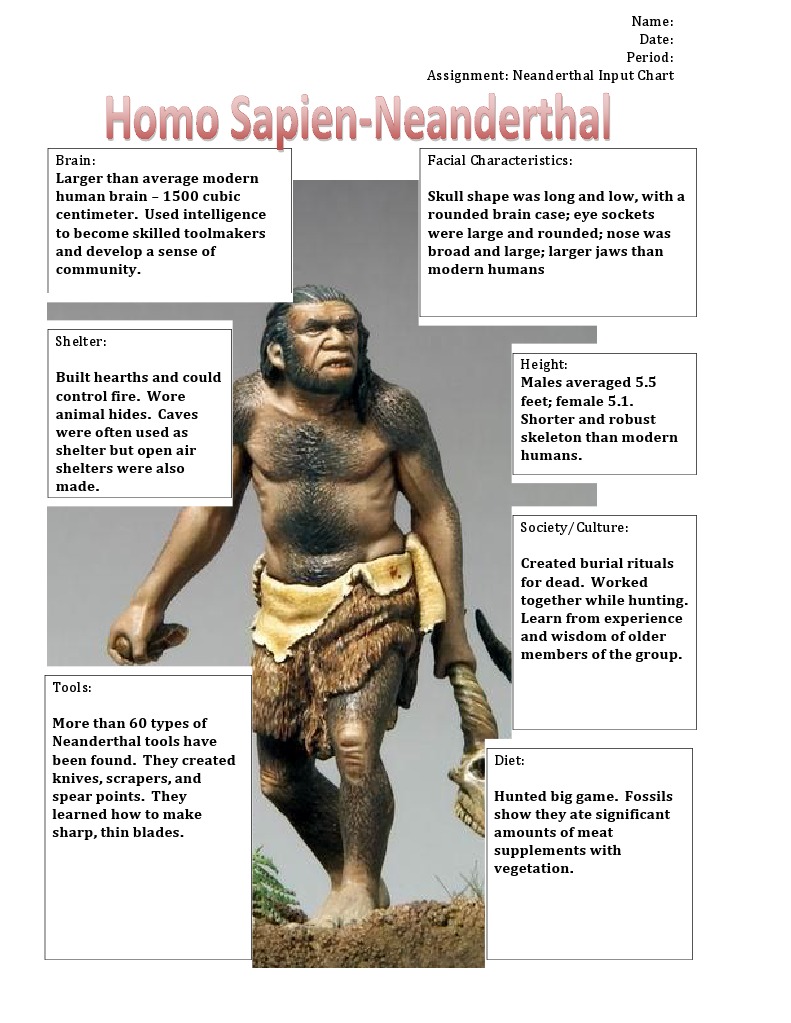 Master Neanderthal Detailed Input | PDF | Neanderthal | Homo Sapiens