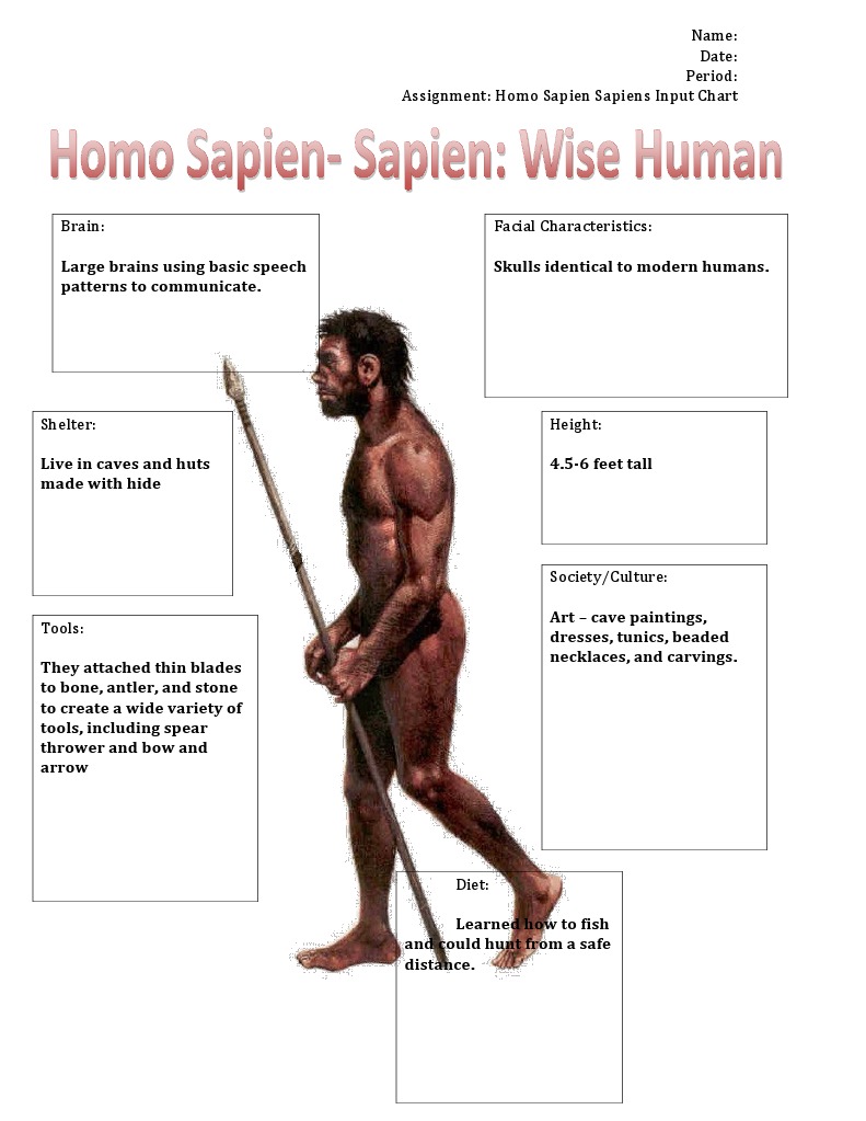 Homo Sapien Sapiens Overview Chart | PDF | Social Science